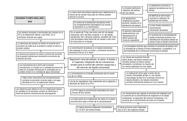 Mapa Cap. 30 Guyton | PDF | Potasio | Química