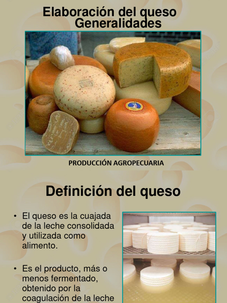 Elaboración Del Queso | PDF