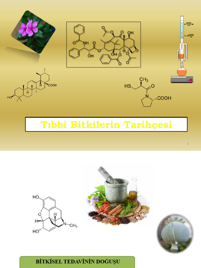 Tıbbi Bitkilerin Tarihçesi | PDF