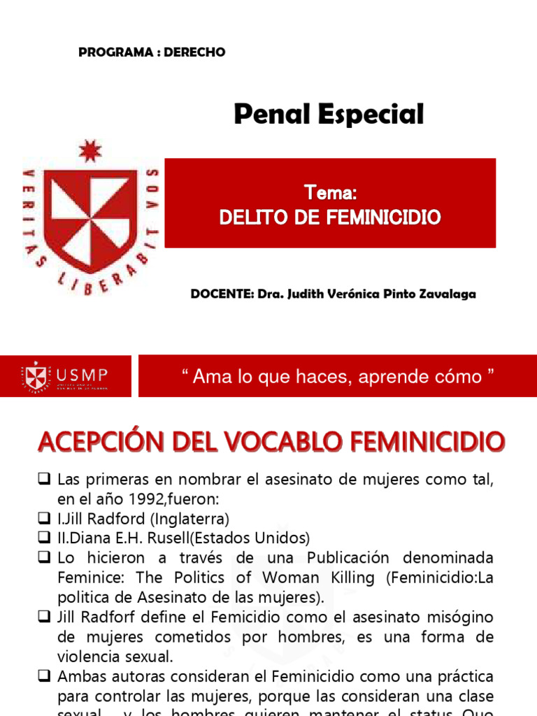 FEMINICIDIO | PDF