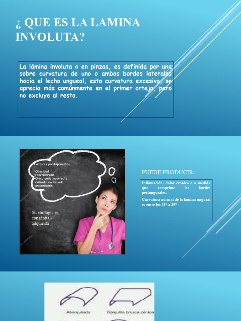 Que Es La Lamina Involuta | PDF