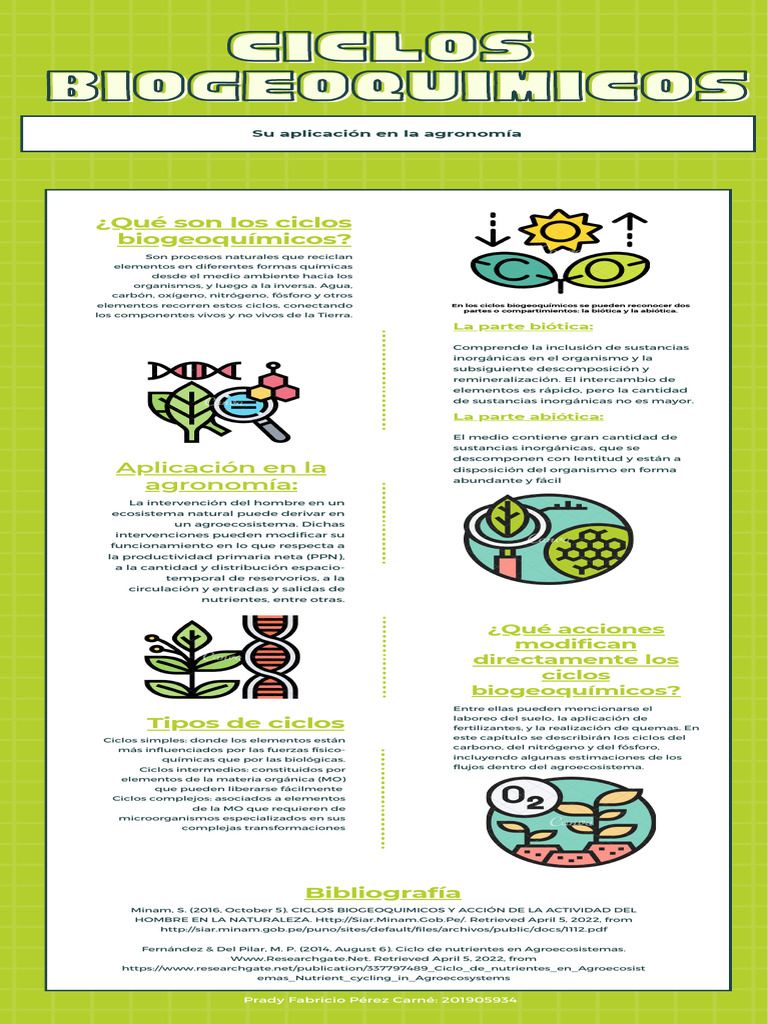 Infografía sobre ciclos biogeoquímicos | PDF