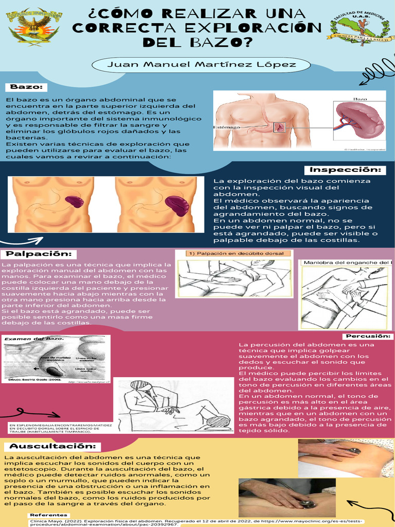 BAZO | PDF