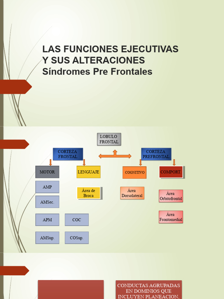 Funciones Ejecutivas | PDF