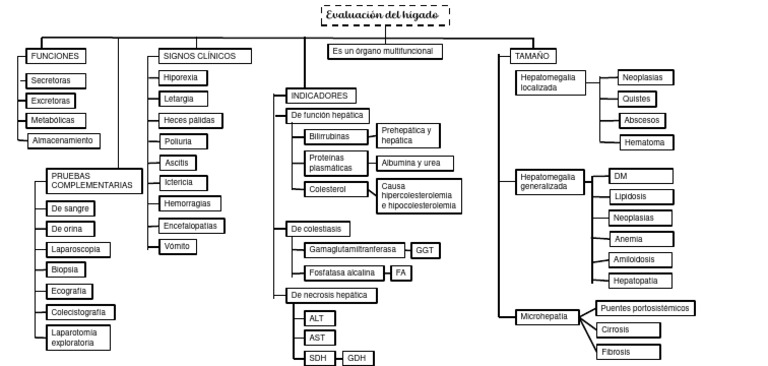 Evaluación Del Hígado | PDF