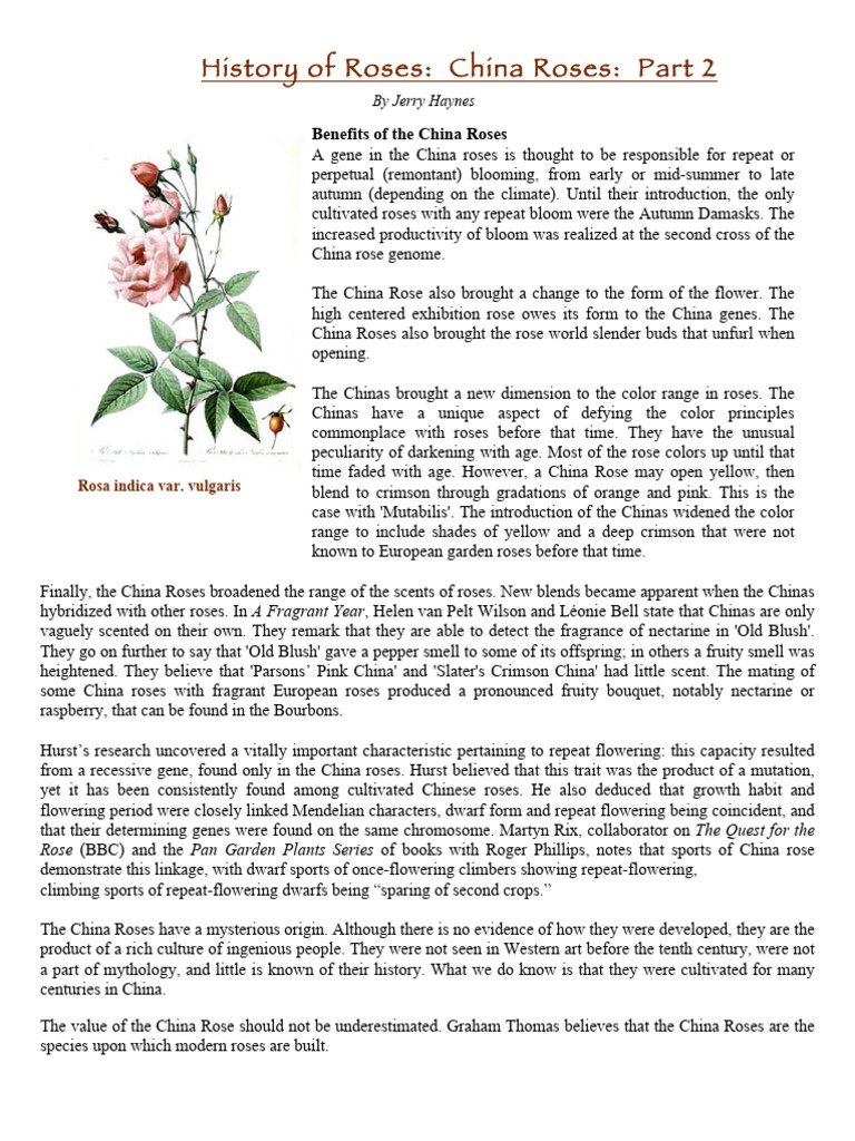 History-of-Roses-China-Roses-Part-Two | PDF