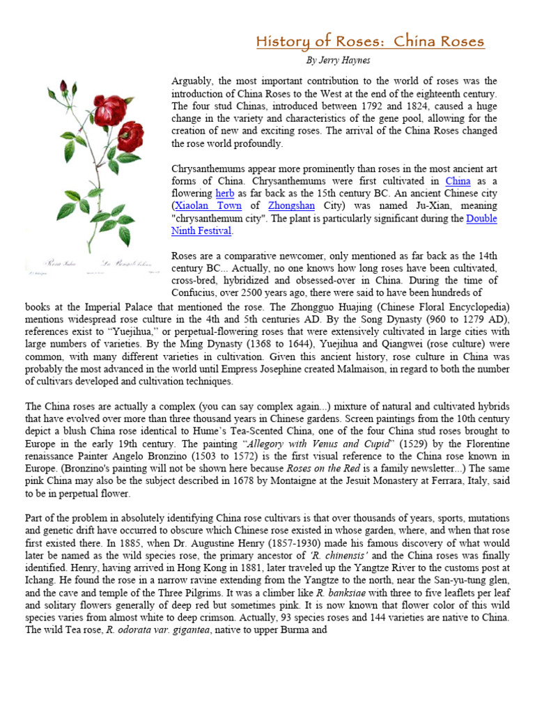 History-of-Roses-China-Roses-Part-One | PDF