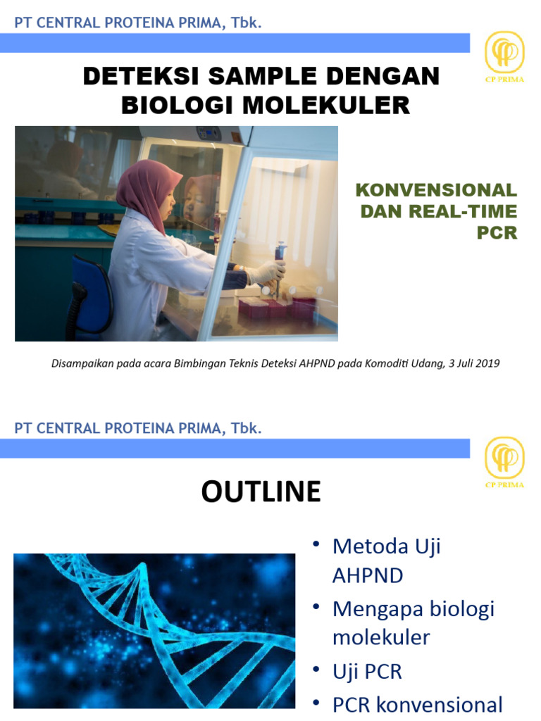 Deteksi Biologi Molekuler PCR Dan RT-PCR | PDF