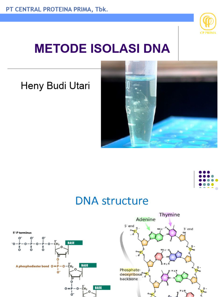 Metode Isolasi DNA | PDF