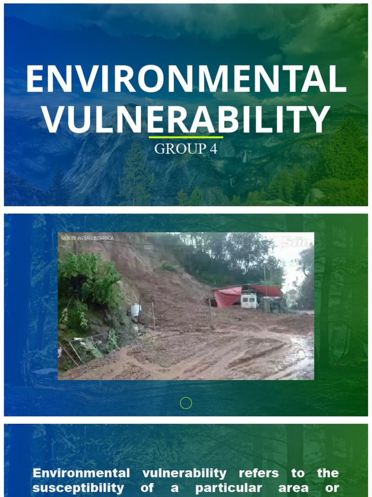 Group4envi Vulnerability | PDF