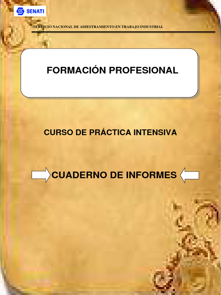 Cuaderno de Informes (17 | PDF