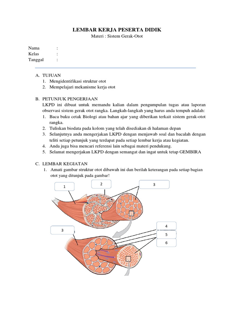 LKPD Sisem Gerak-Otot | PDF