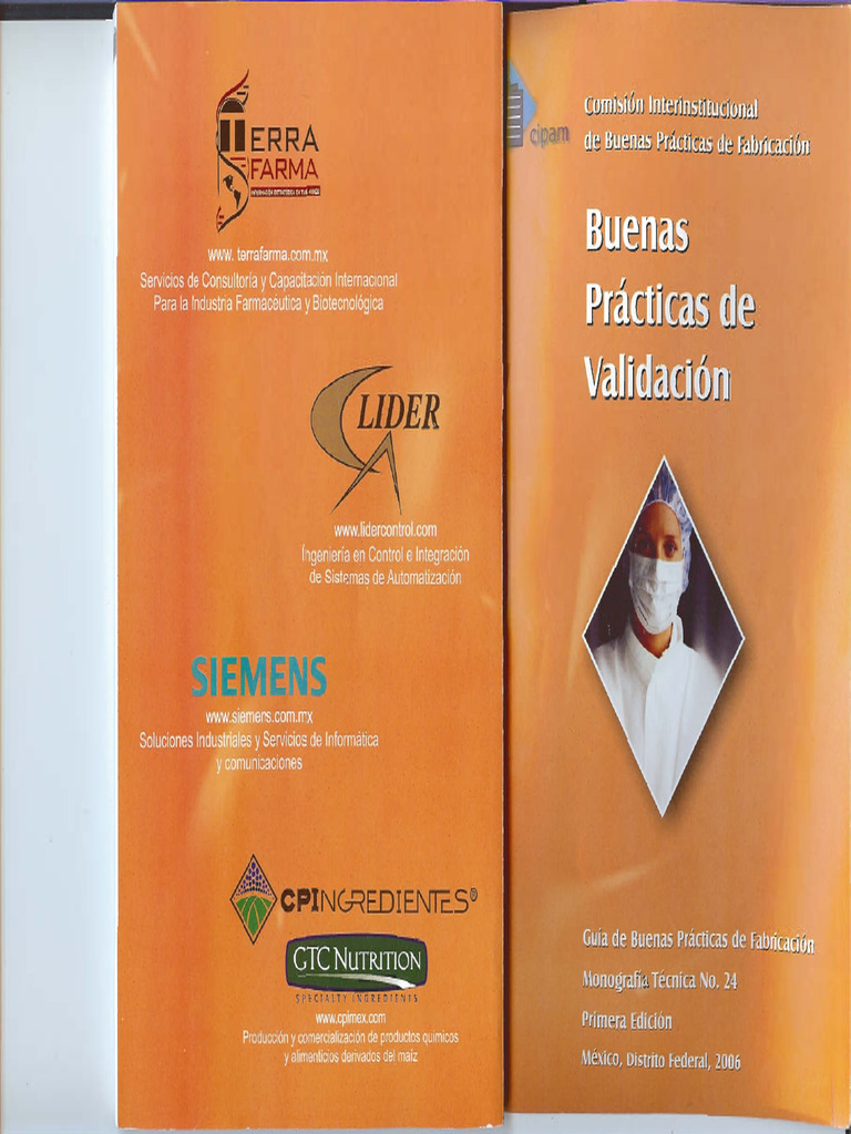 CIPAM 24-Buenas Prácticas de Validación | PDF