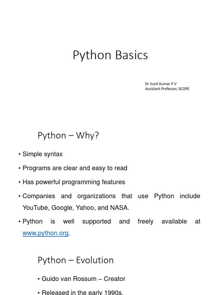 4 Python Basics Pdf