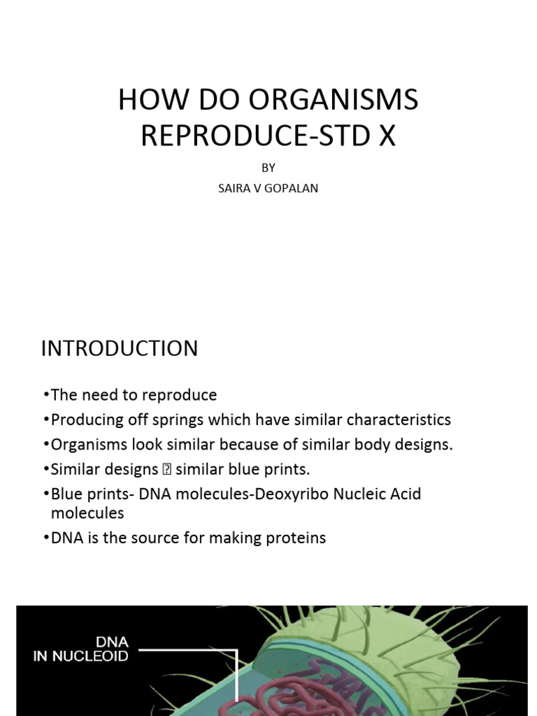 How Do Organisms Reproduce | PDF