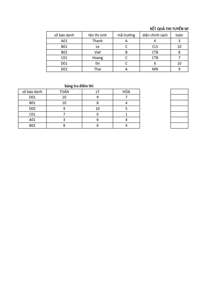 bài thi Excel cơ bản | PDF
