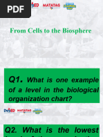 Grade 7 - Consolidation4 - From Cells To Biosphere | PDF | Career & Growth