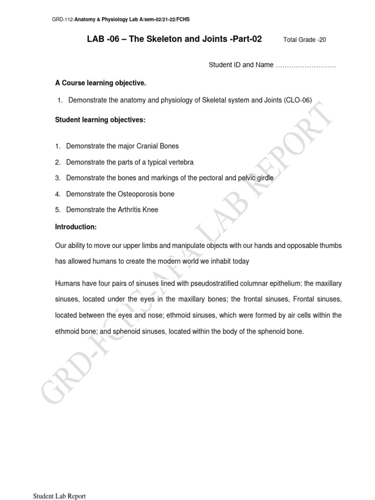 Skeleton & Joints | PDF