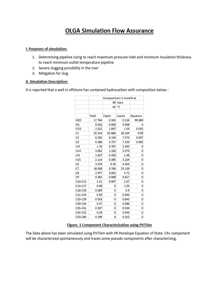 OLGA Simulation Results | PDF | Thermal Insulation | Pipeline Transport