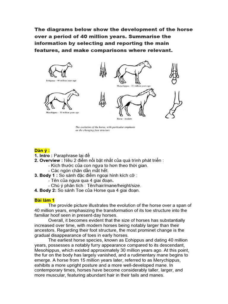 horses ielts writing task 1 | PDF