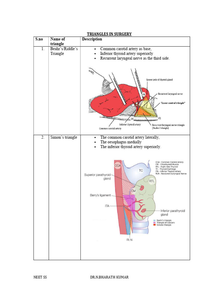 Thyroid Surgical Triangles Overview | PDF | Social Science | Wellness