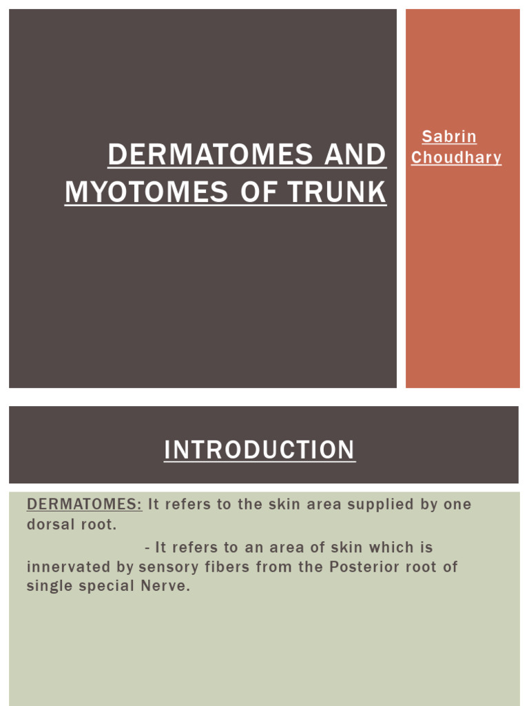 Dermatomes & Myotomes Guide | PDF