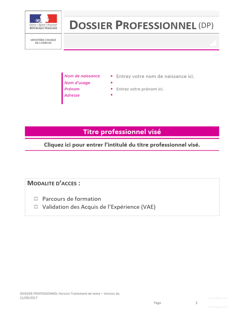 Dossier Professionnel (Modèle) | PDF