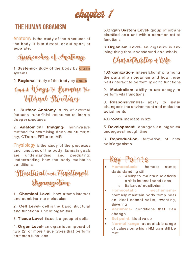 ANAPHY NOTES Chap 1 5 | PDF