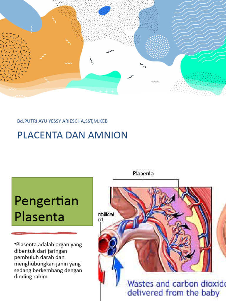 Panduan Plasenta dan Amnion | PDF