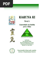 João Eduardo Fialho - KARUNA KI - Nìvel 3 - PDF | PDF | Chacra | Bodisatva