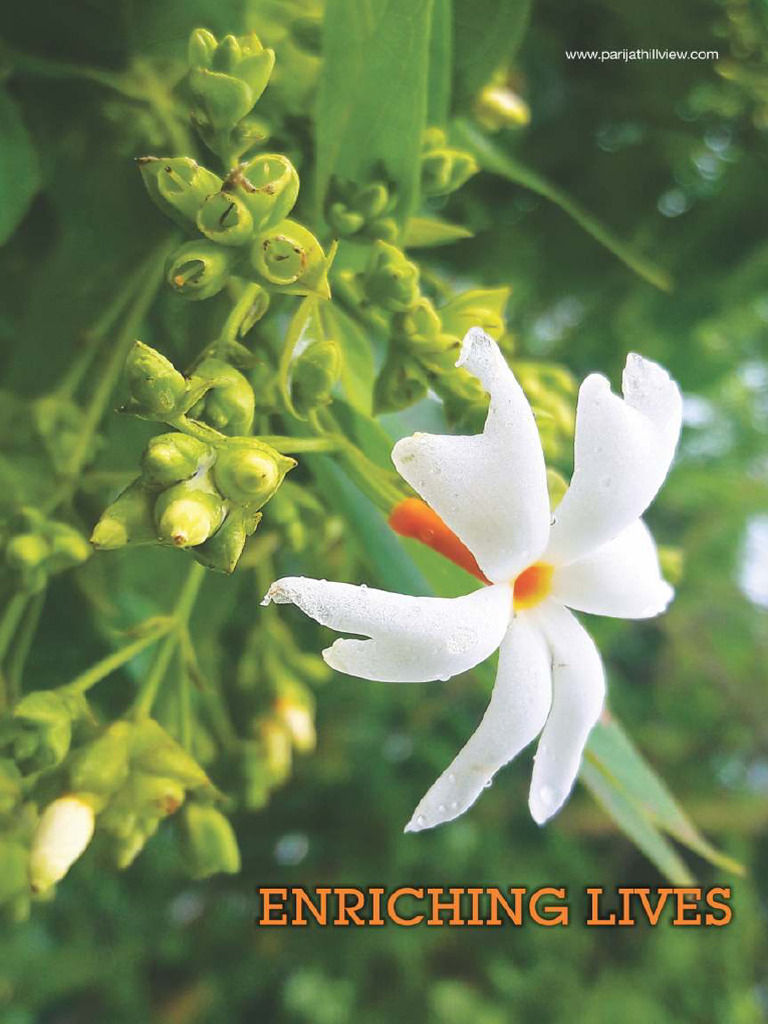Parijat Ebrochure Edited | PDF