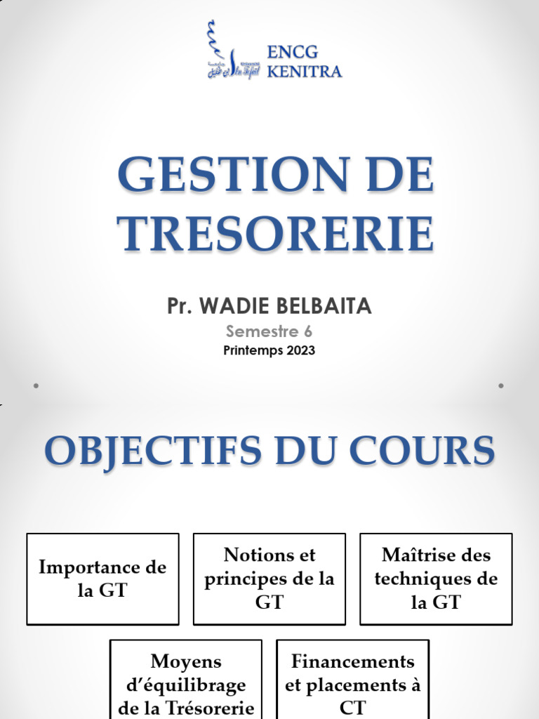 Cours GESTION DE TRESORERIE S6 2023 Complet | PDF