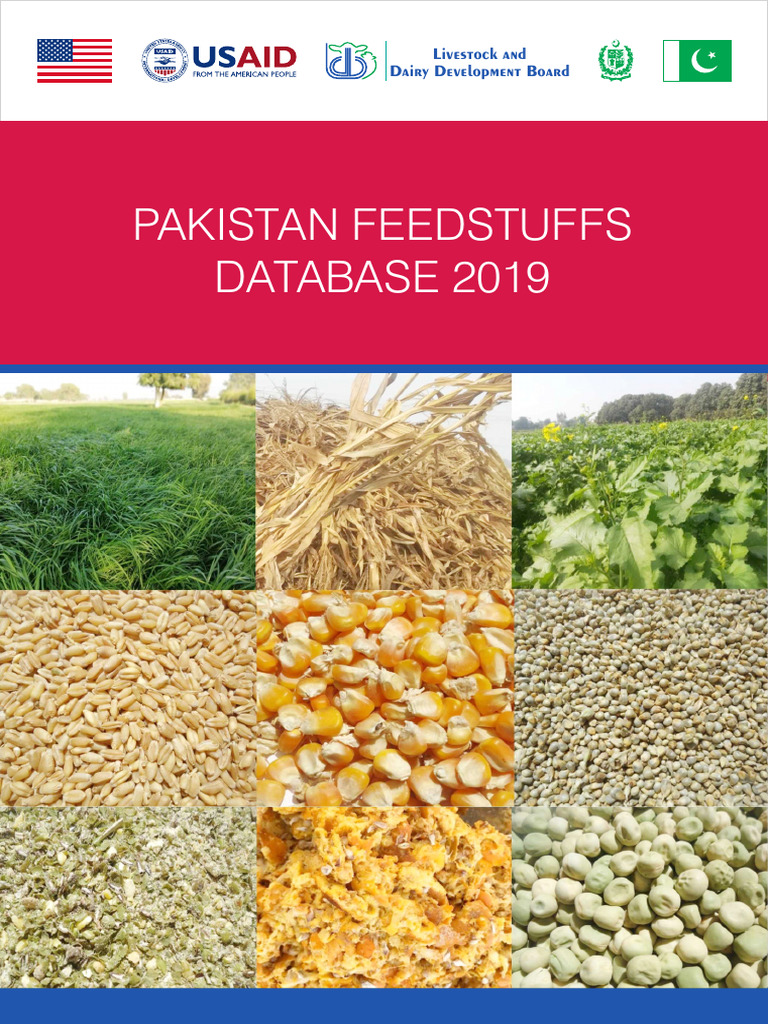 Pakistan Feedstuffs Database 2020 - Final-1 | PDF | Maize | Cereals