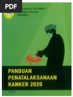 Pupil Isokor dan Anisokor: Penjelasan | PDF
