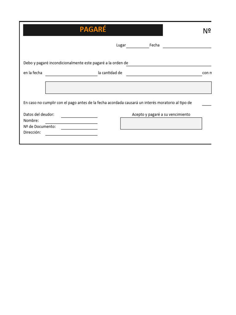 Formato Pagare Excel | PDF