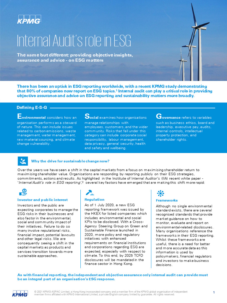 Internal Audit S Role in Esg | PDF | Internal Audit | Audit