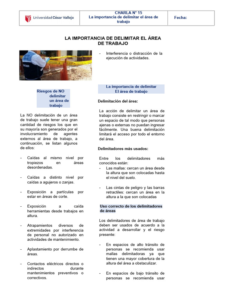 Delimitación del Área de Trabajo | PDF
