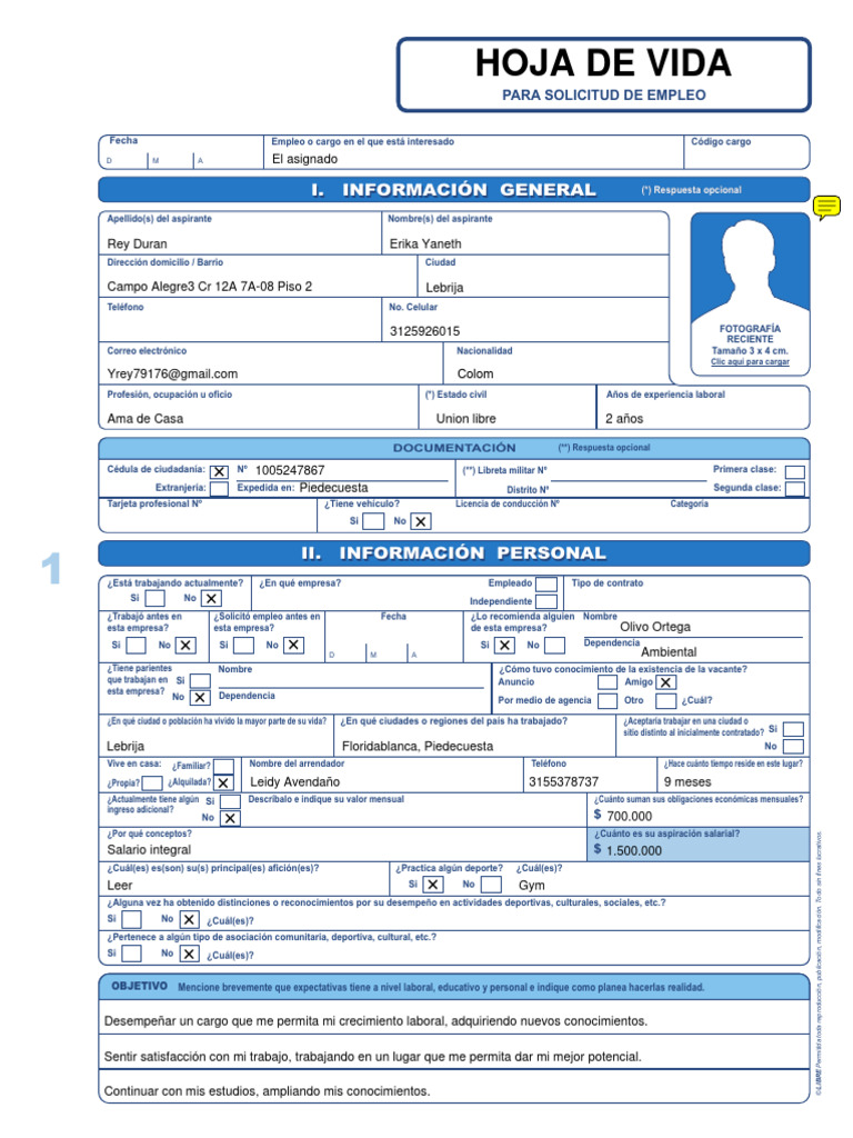 Hoja de Vida Erica Rey. | PDF