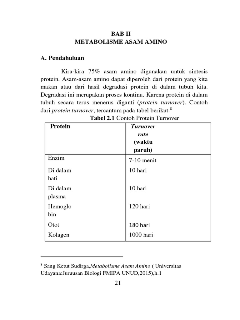 Modul Pertemuan 14 Metabolisme Asam Amino | PDF | Sains & Matematika