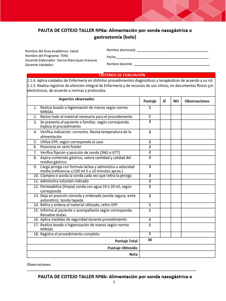 Pauta de Cotejo Taller Nº6a y 6b | PDF