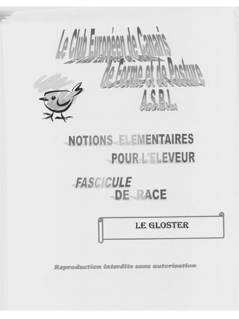 Gloster Fancy Book | PDF