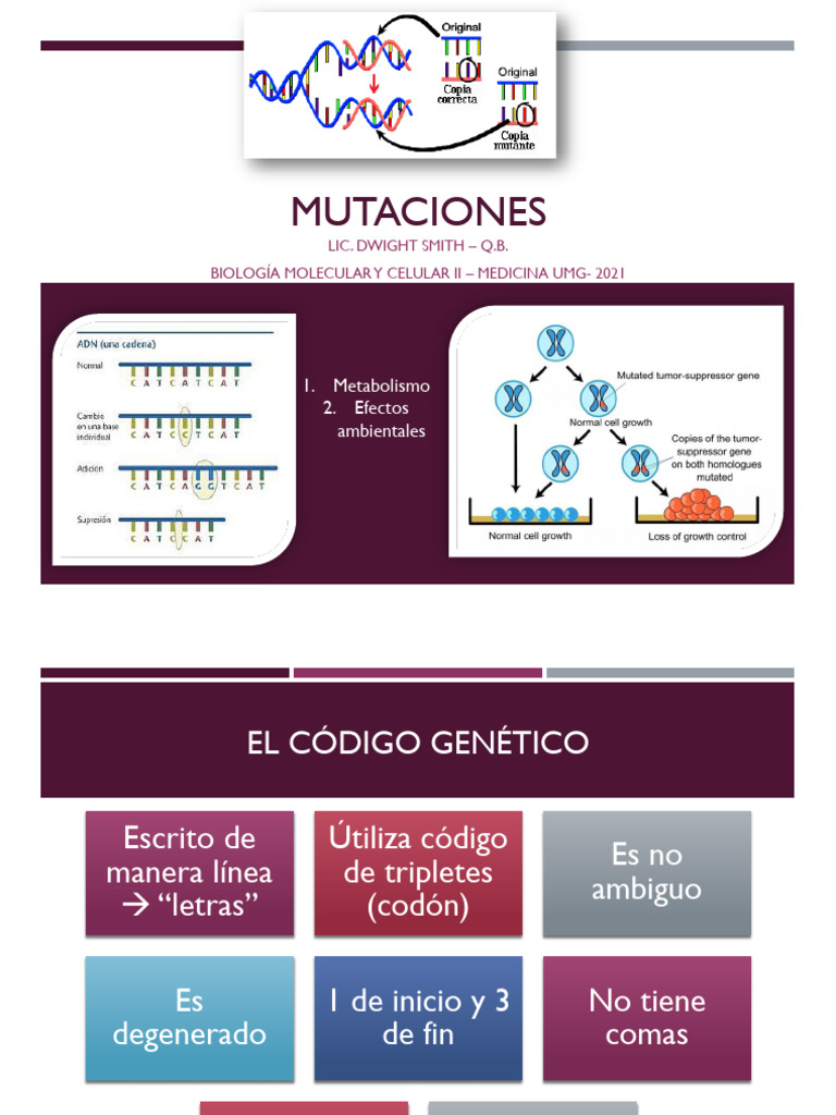 Mutaciones: Tipos y Efectos en el ADN | PDF | Mutación | Codigo genetico