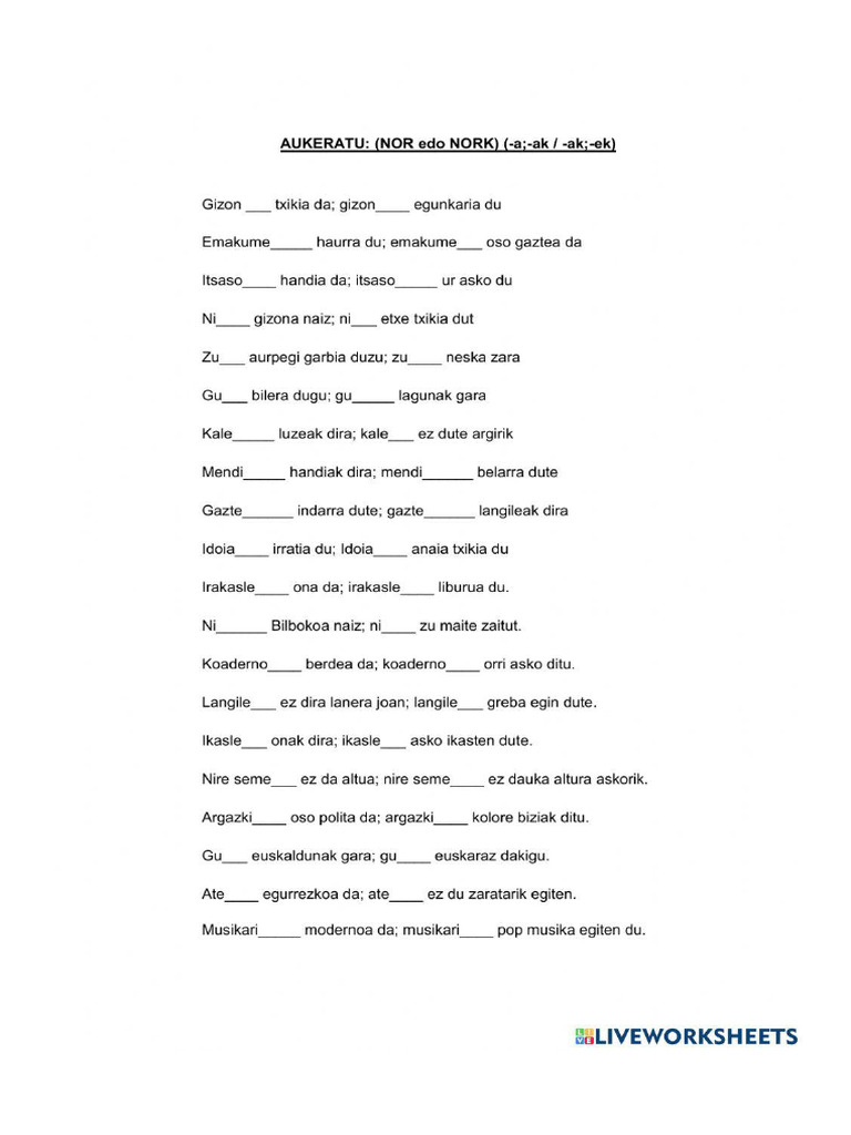Nor Edo Nork Deklinabide Ariketak | PDF