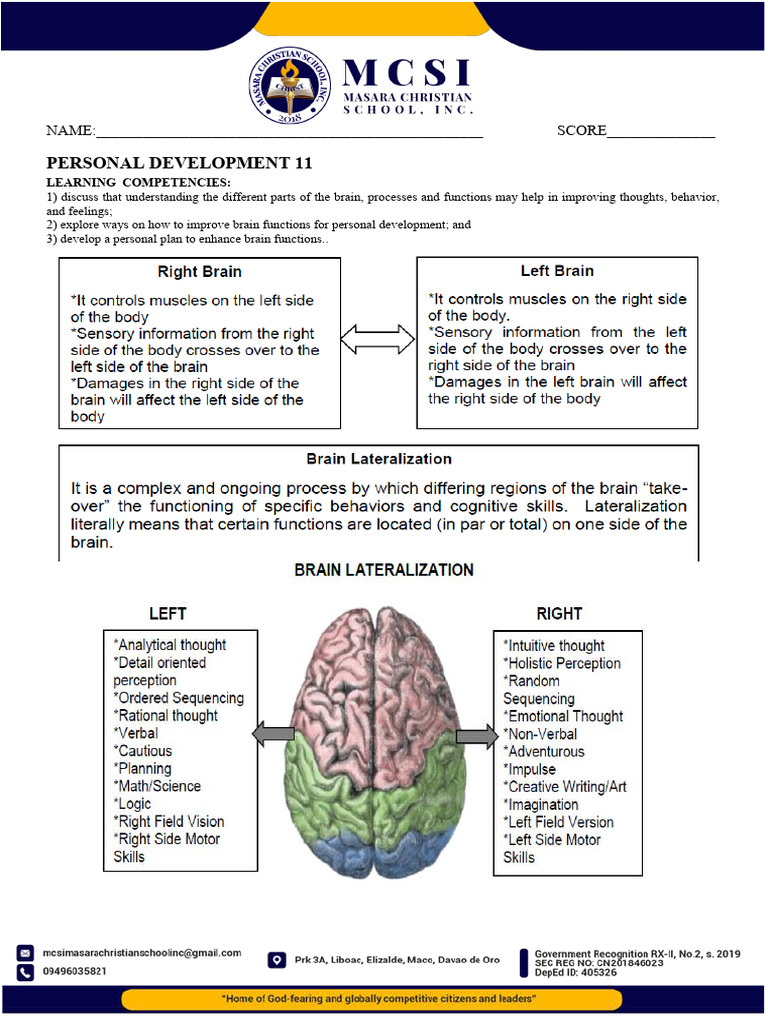 Brain Function Improvement Guide | PDF | Handedness | Cerebral Hemisphere