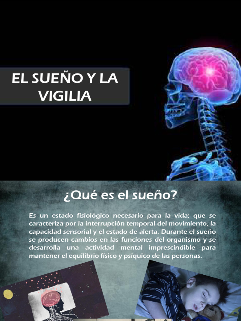 Sueño y Vigilia: Importancia y Fases | PDF | Dormir | Fisiología