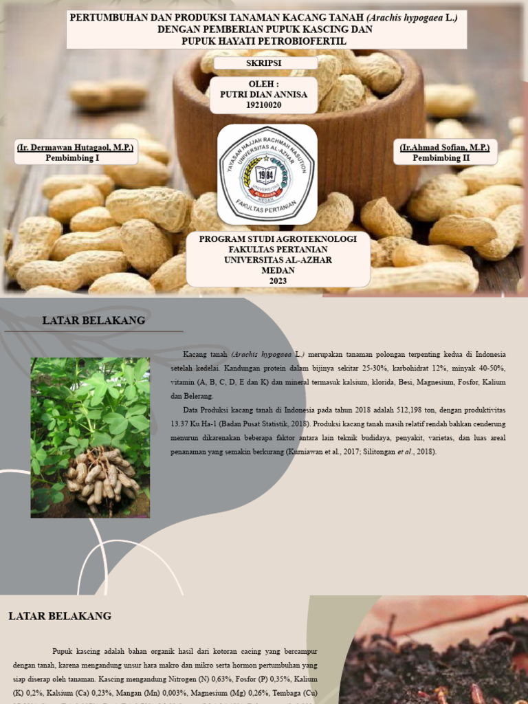 SKRIPSI Putrii | PDF