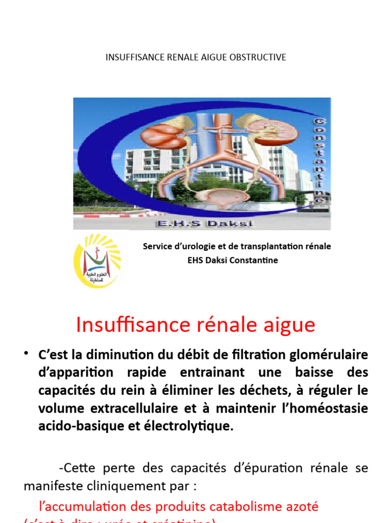 Insuffisance rénale aiguë obstructive | PDF
