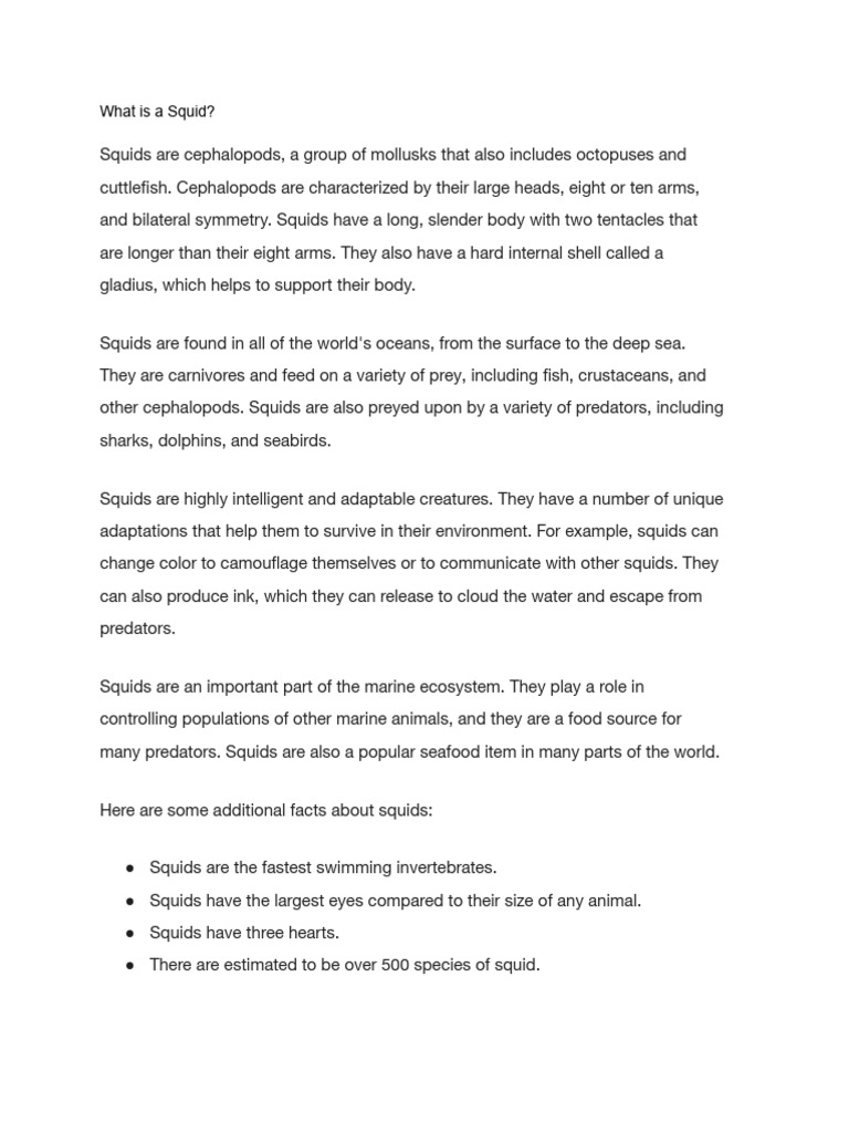 All About Squids | PDF