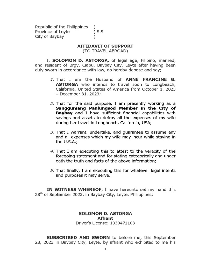 Affidavit of Support | PDF