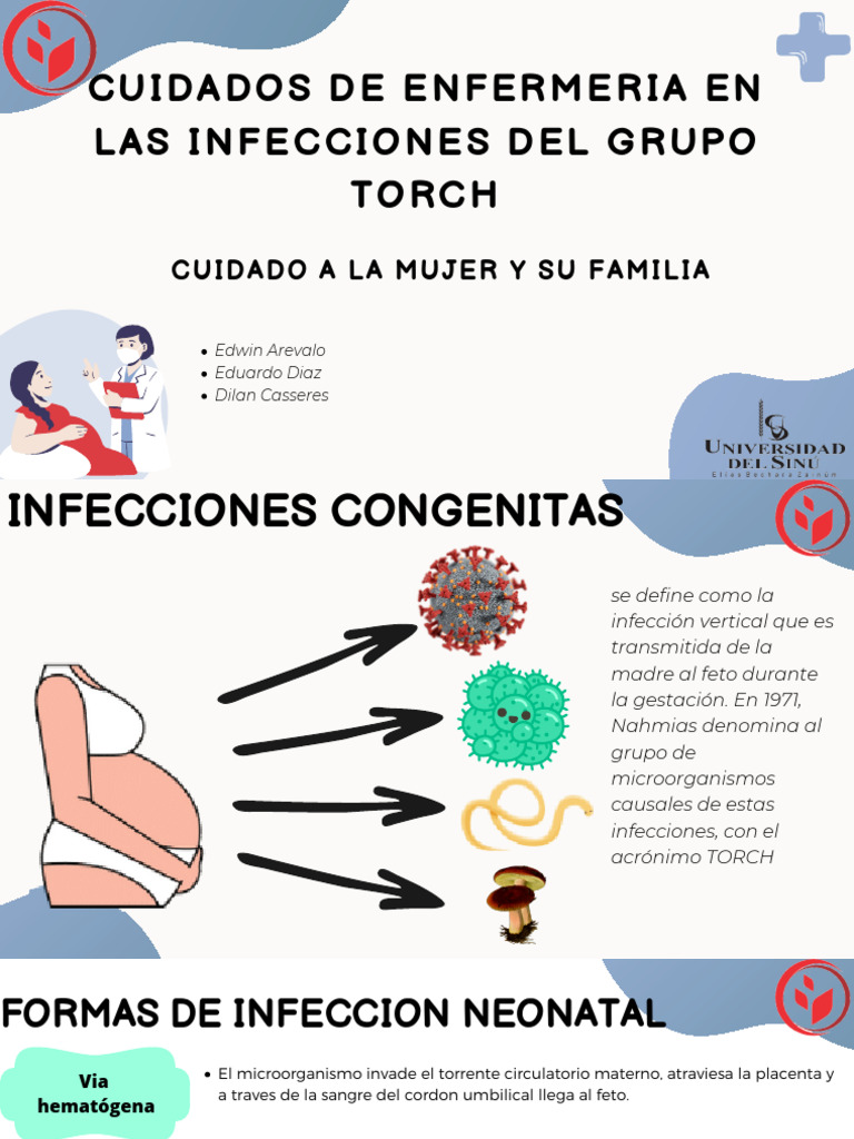 Infecciones Del Grupo TORCH | PDF